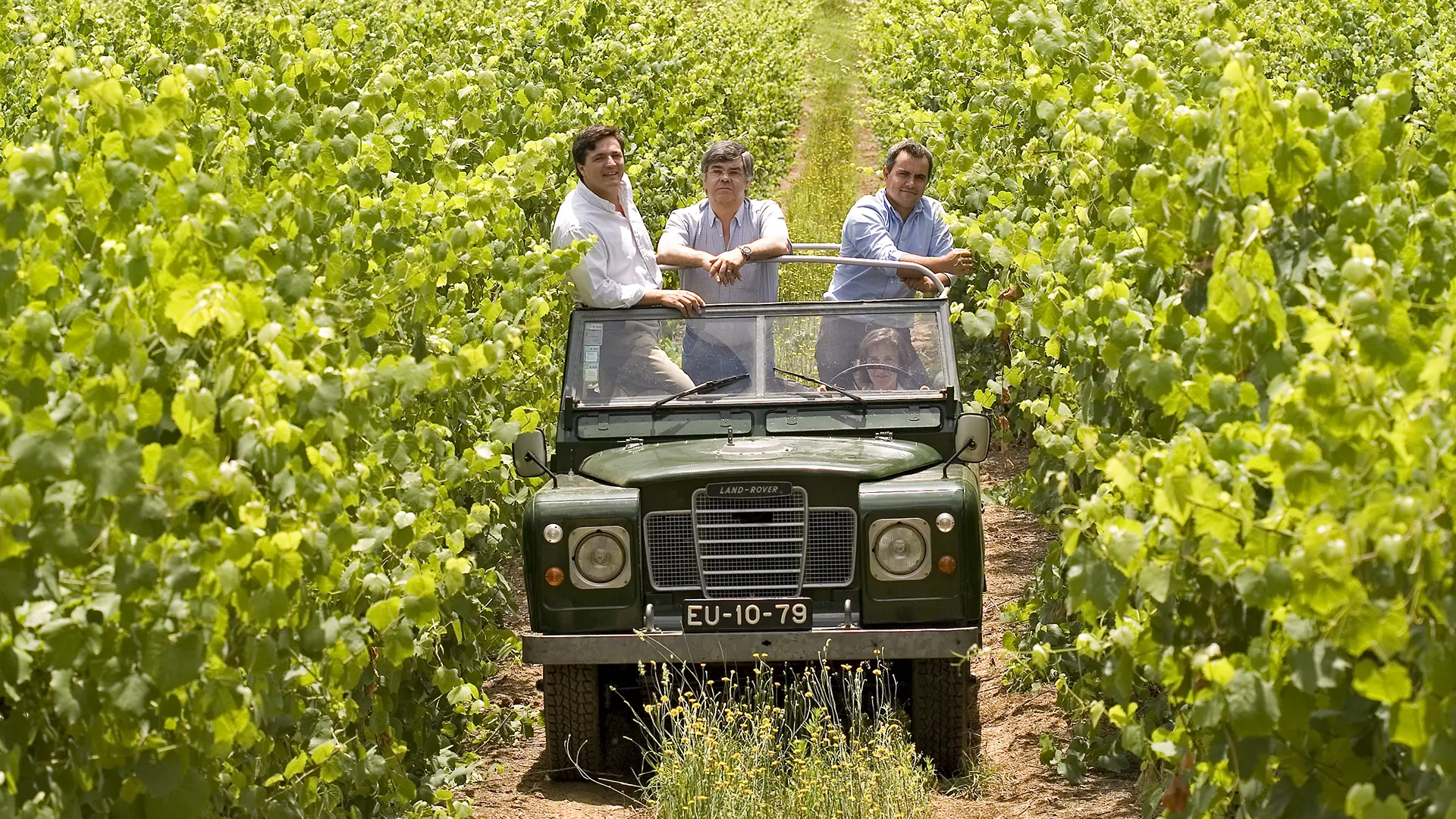 Home - Quinta da Raza